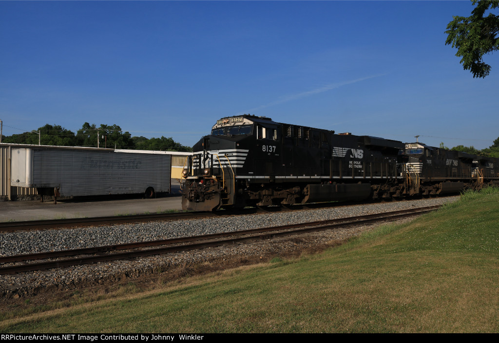 NS 8137 leads NS 165